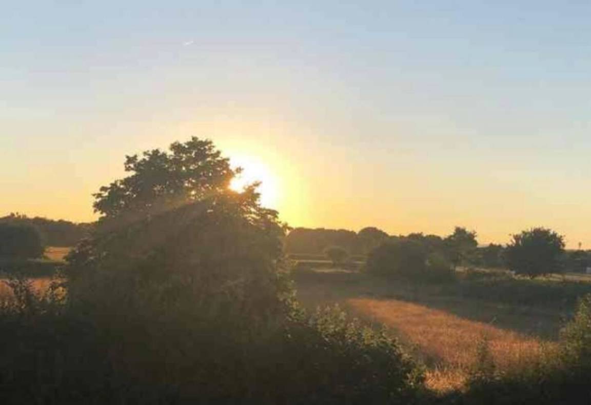 30 M² Cabin ∙ 1 Bedroom ∙ 2 Guests - Bruton