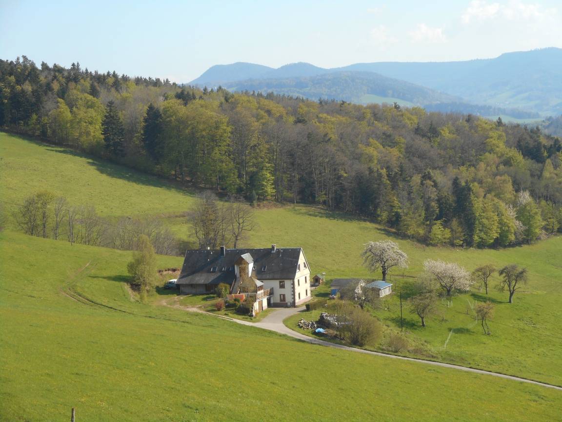 75 M² Gîte ∙ 2 Chambres ∙ 5 Personnes - Sainte-Marie-aux-Mines