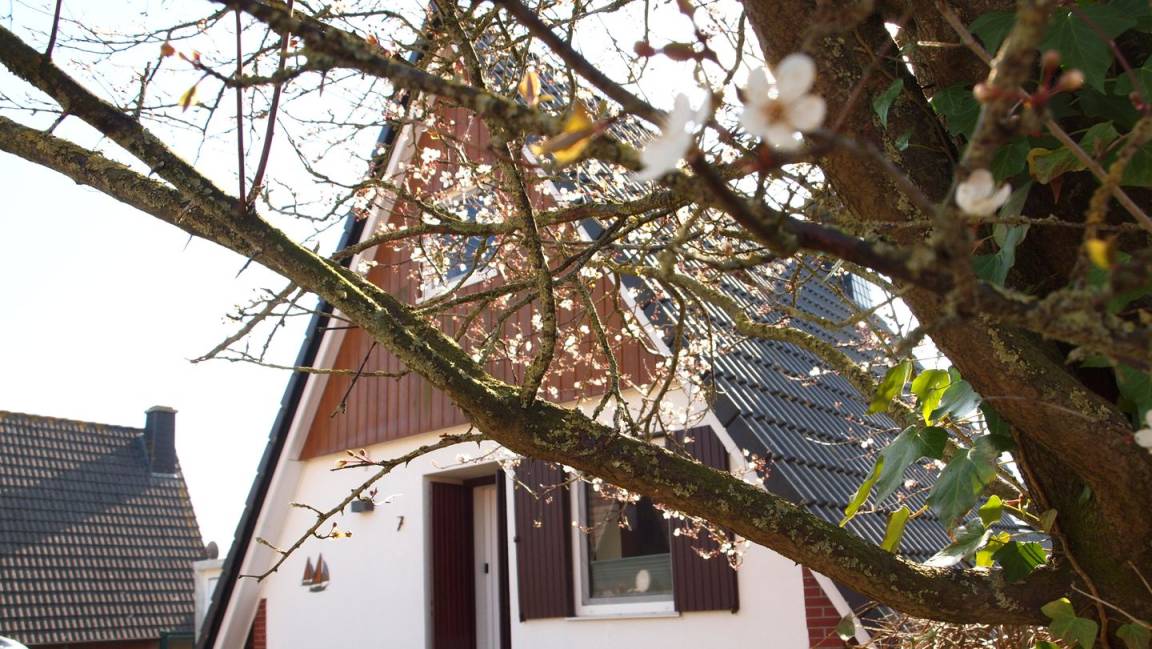 50 M² Huis ∙ 2 Slaapkamers ∙ 4 Gasten - Spiekeroog