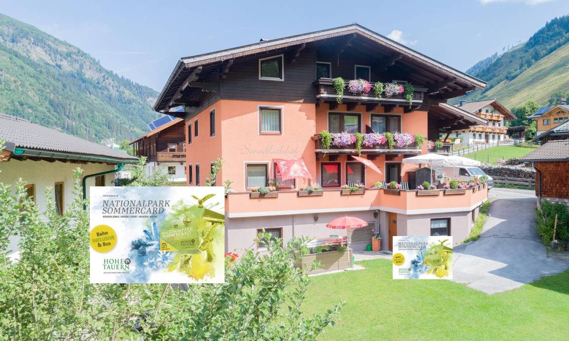 42 M² Ferienwohnung ∙ 1 Schlafzimmer ∙ 4 Gäste - Dorfgastein