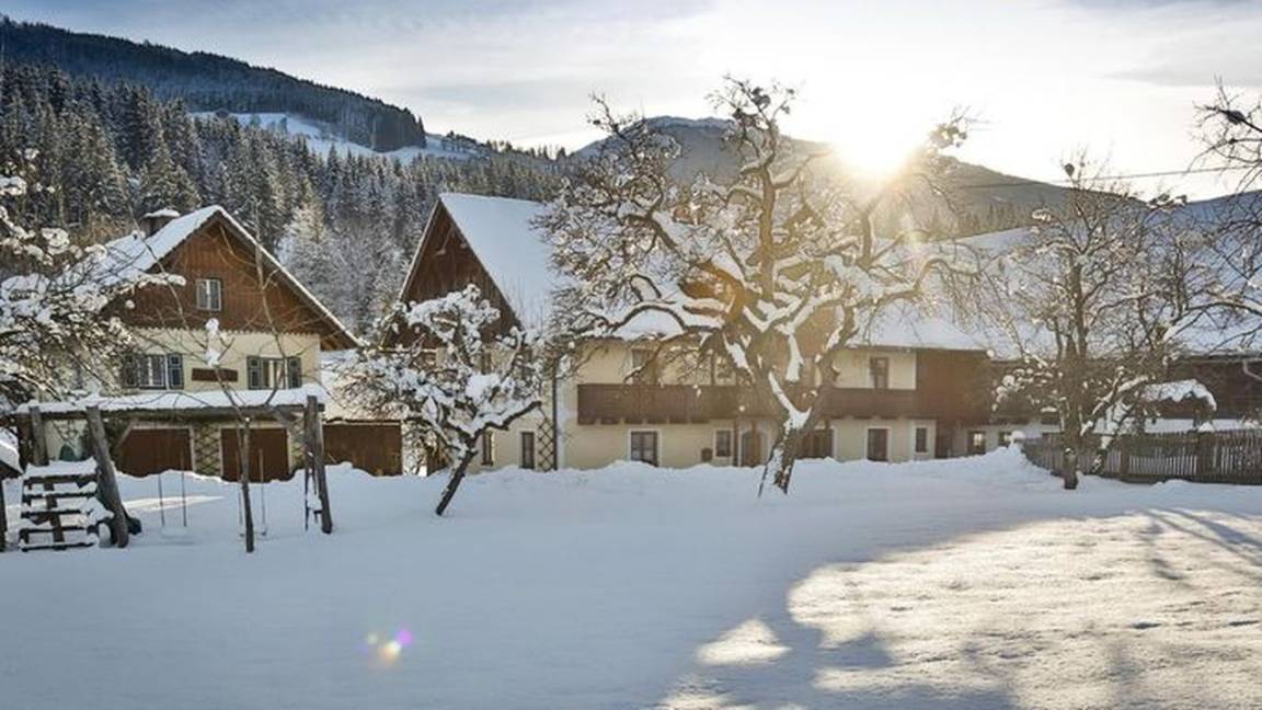 55 M² Apartment ∙ 1 Bedroom ∙ 3 Guests - Haus