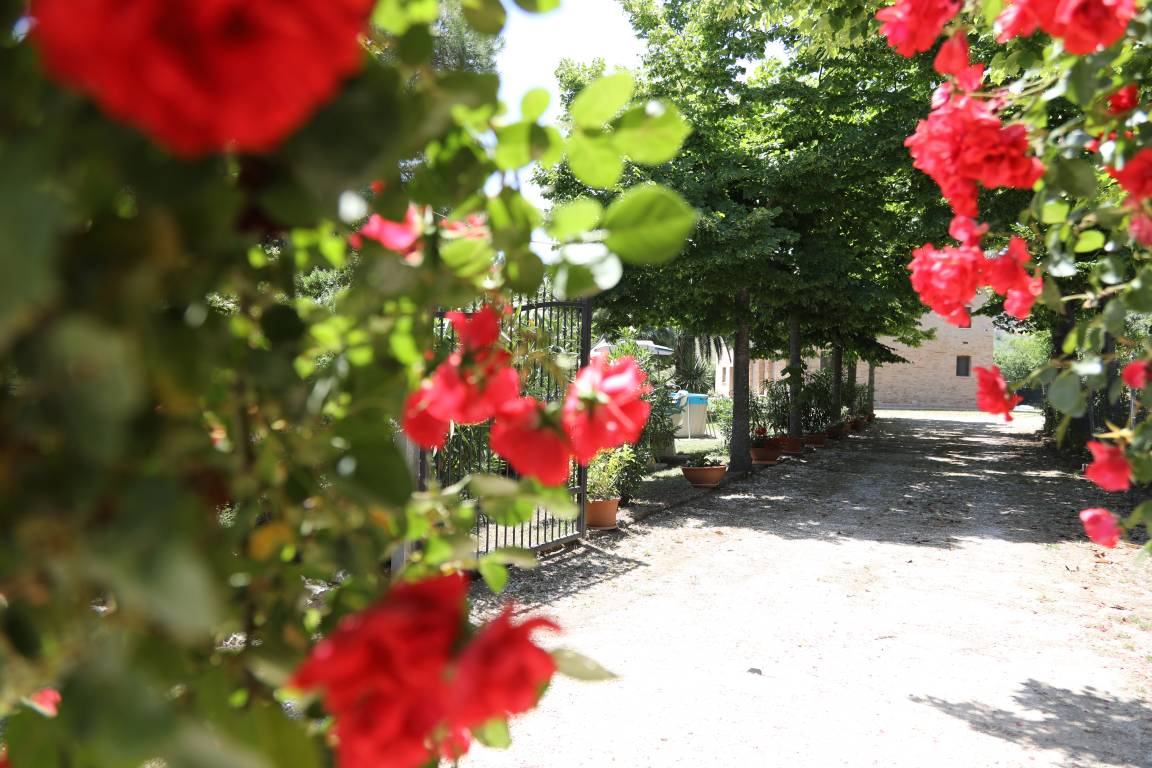 45 M² Casa ∙ 1 Habitación ∙ 6 Huéspedes - San Benedetto del Tronto