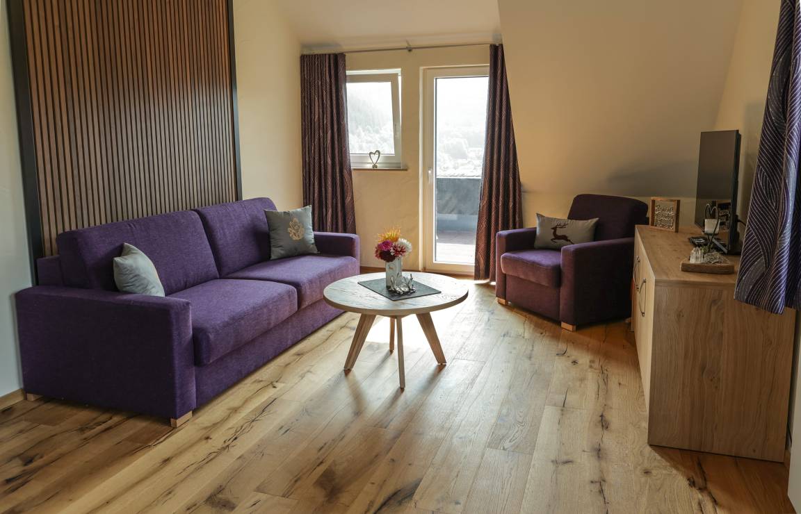 Apartament ∙ 1 Sypialnia ∙ 2 Gości - Willingen