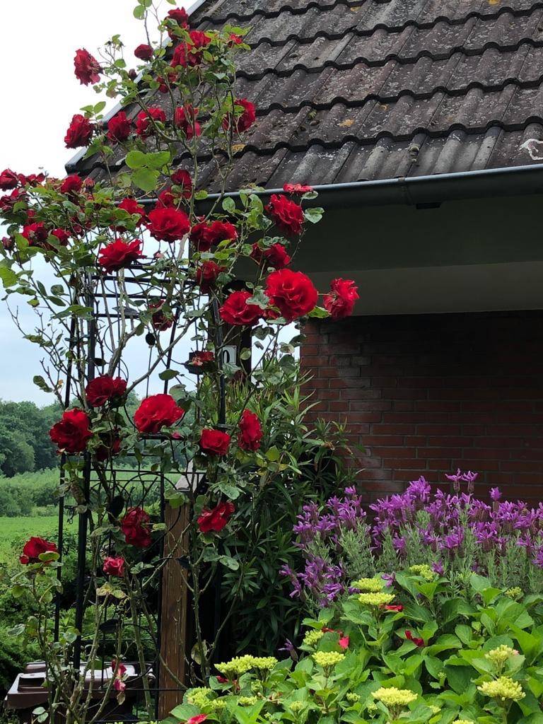 65 M² Appartement ∙ 1 Chambre ∙ 2 Personnes - Strande