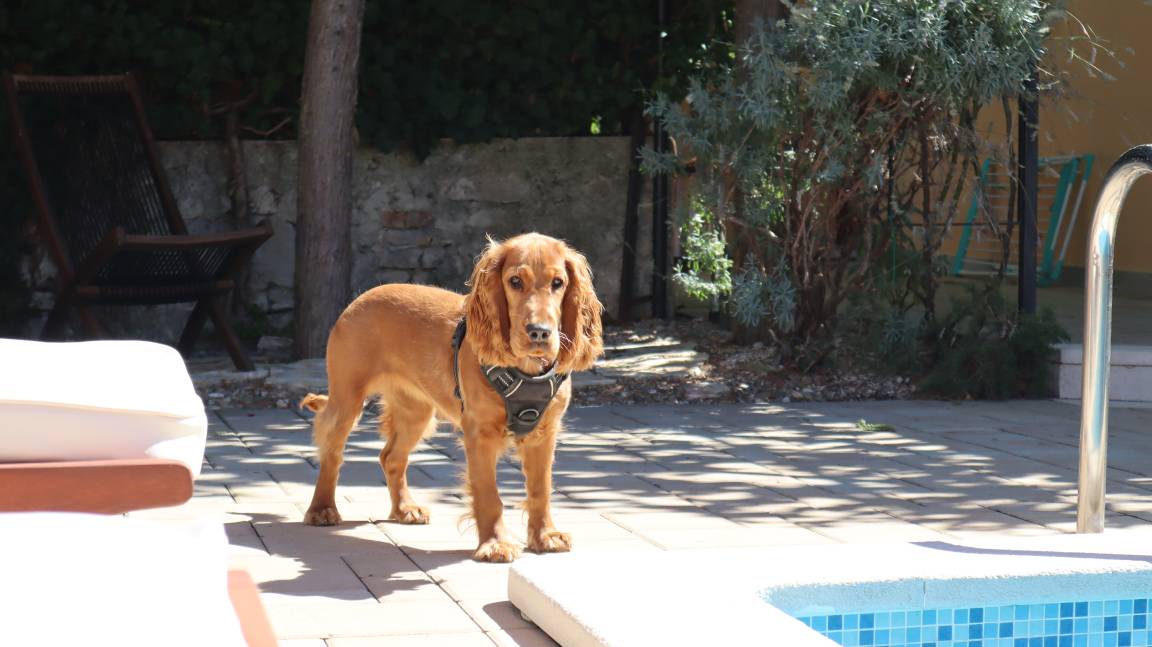 148 M² Ferienhaus ∙ 3 Schlafzimmer ∙ 8 Gäste - Rovinj