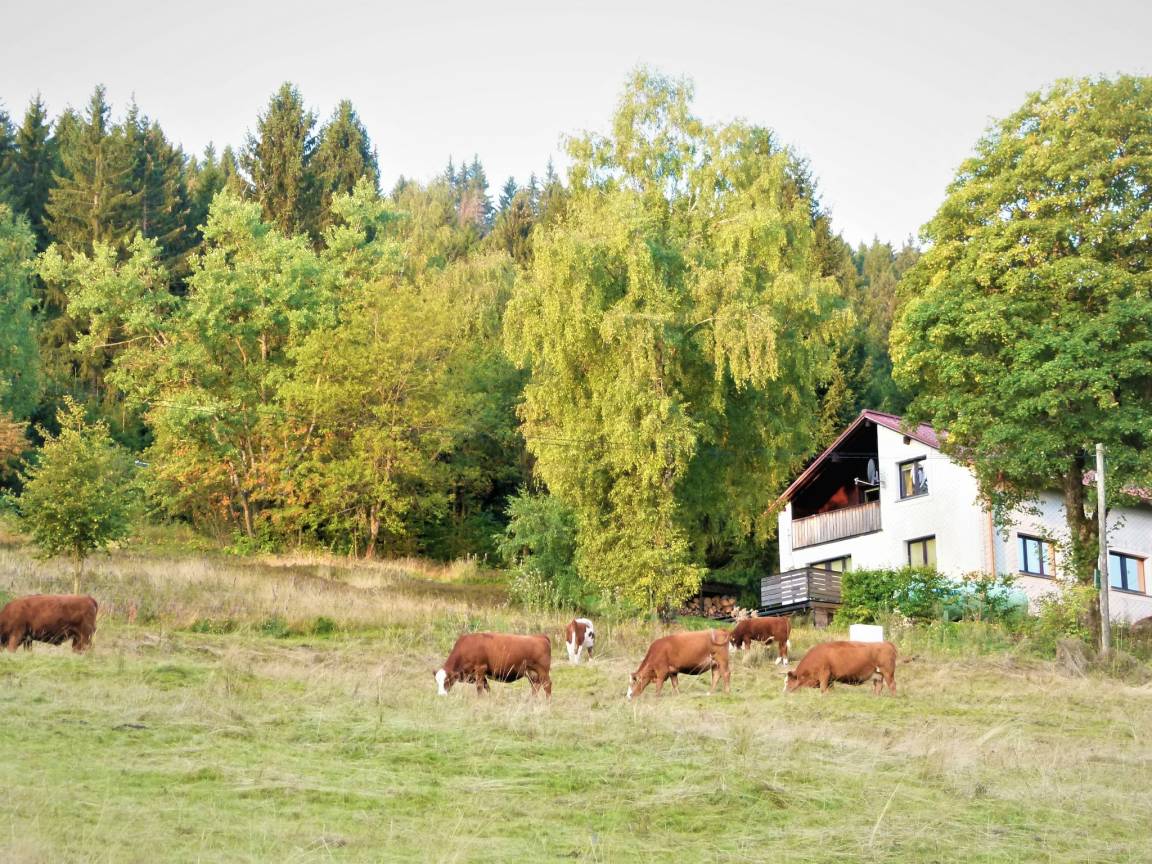 80 M² Appartement ∙ 2 Chambres ∙ 5 Personnes - Oberhof