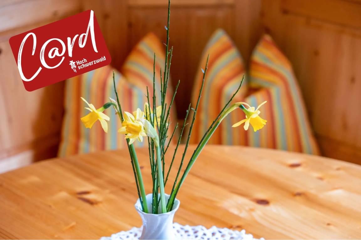 35 M² Appartement ∙ 1 Slaapkamer ∙ 3 Gasten - Titisee-Neustadt