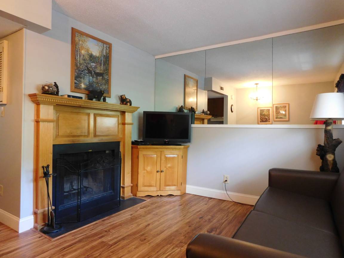 40 M² Apartamento ∙ 1 Habitación ∙ 4 Huéspedes - Gatlinburg, TN