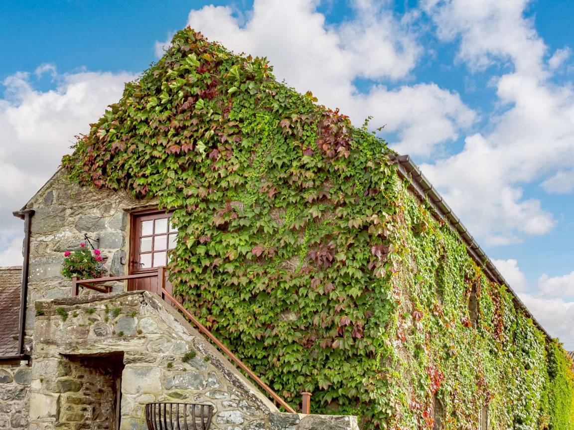 Cottage ∙ 1 Bedroom ∙ 2 Guests - Barmouth