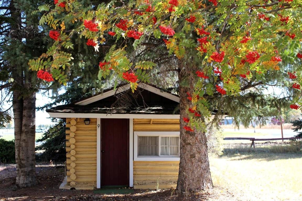 House ∙ 1 Bedroom ∙ 2 Guests - Ashton, ID
