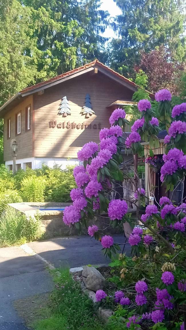 60 M² Ferienhaus ∙ 2 Schlafzimmer ∙ 6 Gäste - Schierke