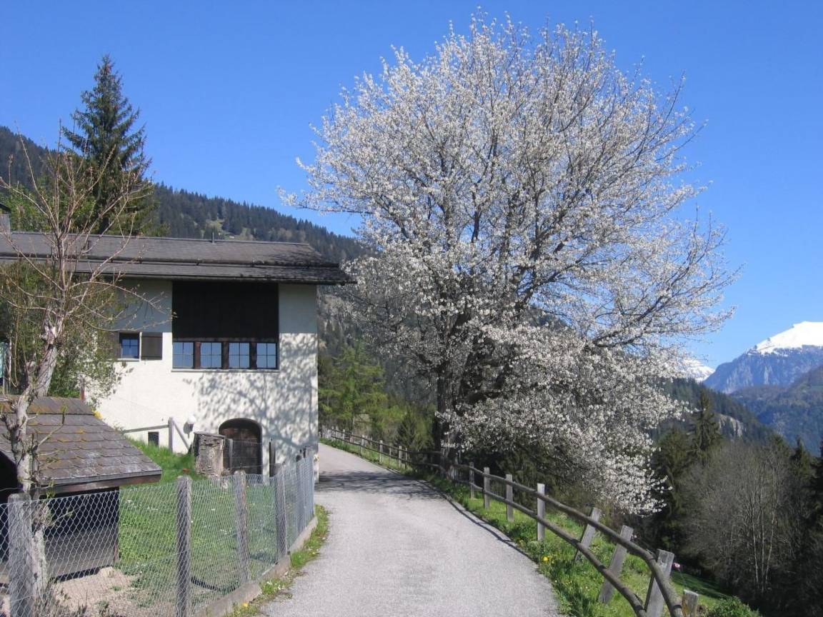 220 M² Maison De Vacances ∙ 4 Chambres ∙ 8 Personnes - Flims