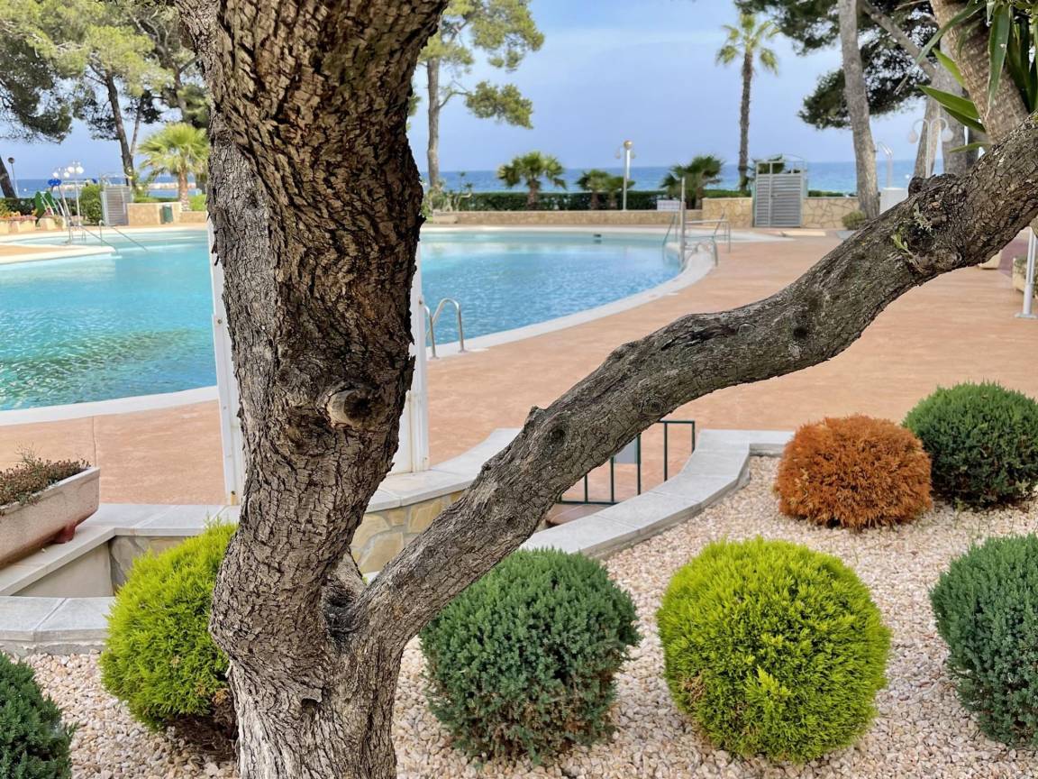 35 M² Apartment ∙ 1 Bedroom ∙ 4 Guests - Cambrils