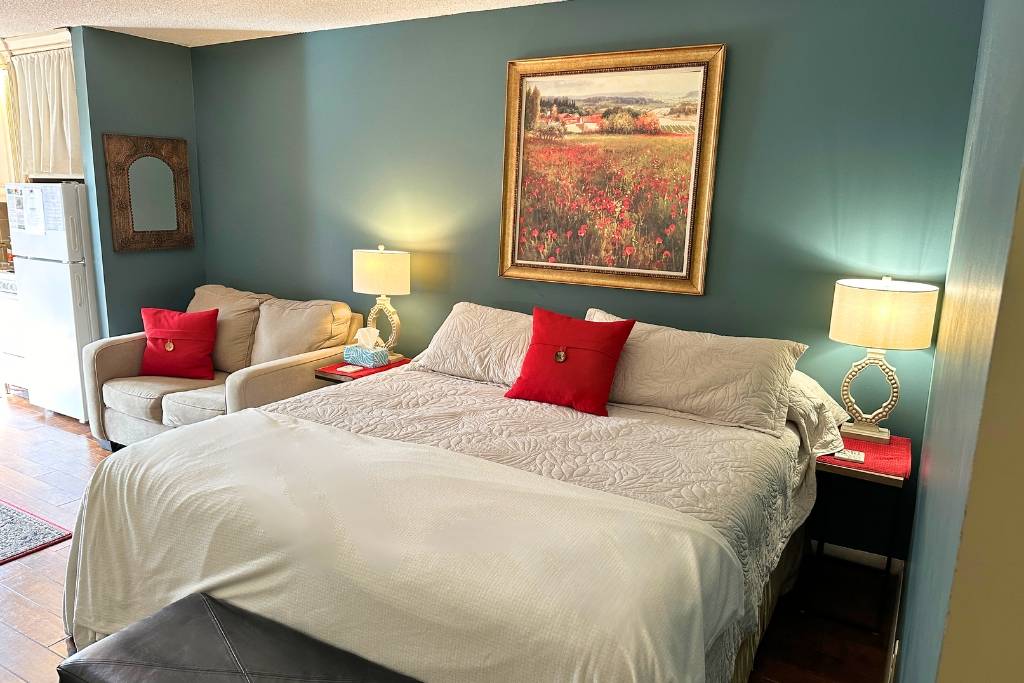 Apartment ∙ 1 Bedroom ∙ 3 Guests - Chimney Rock, NC