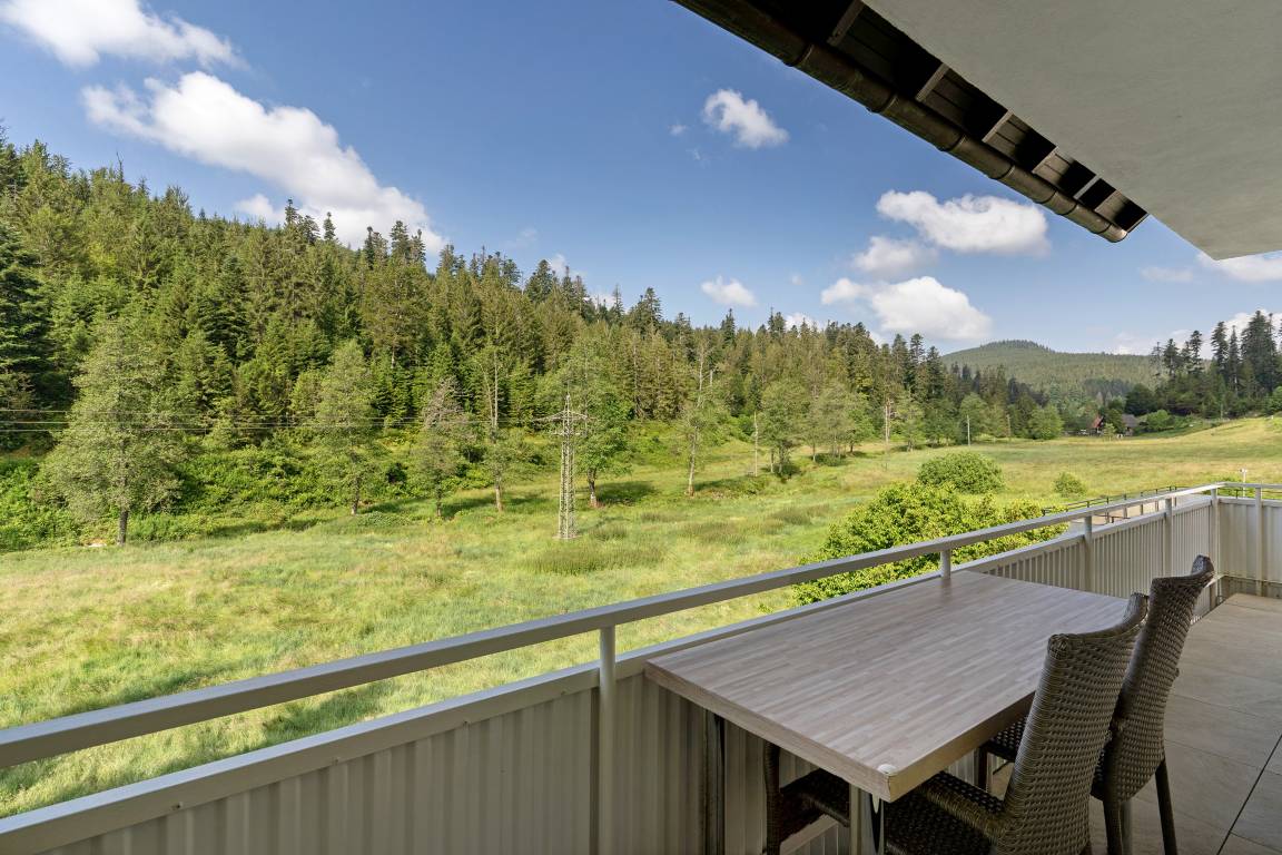 95 M² Ferienwohnung ∙ 2 Schlafzimmer ∙ 4 Gäste - Forbach