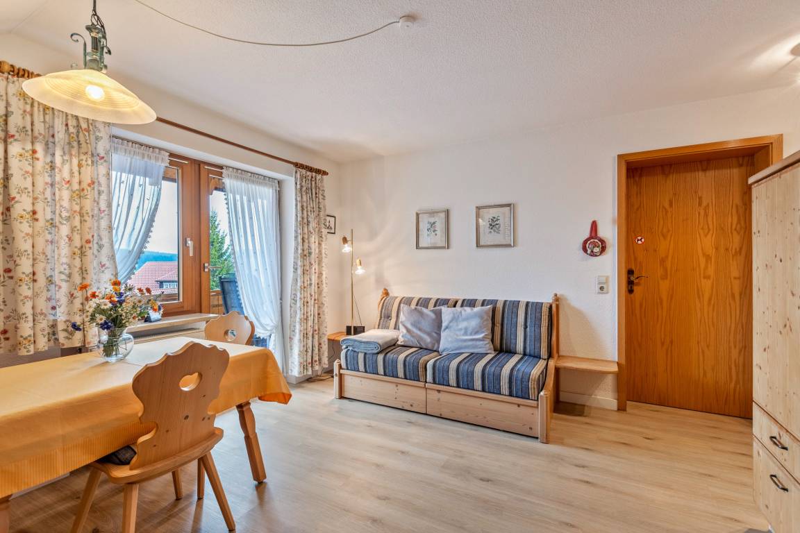 46 M² Apartment ∙ 1 Bedroom ∙ 2 Guests - Schluchsee