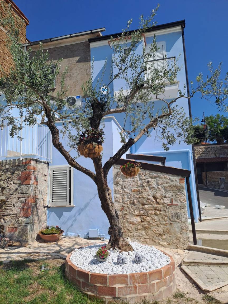 Bed & Breakfast ∙ 1 Schlafzimmer ∙ 2 Gäste - Cassino