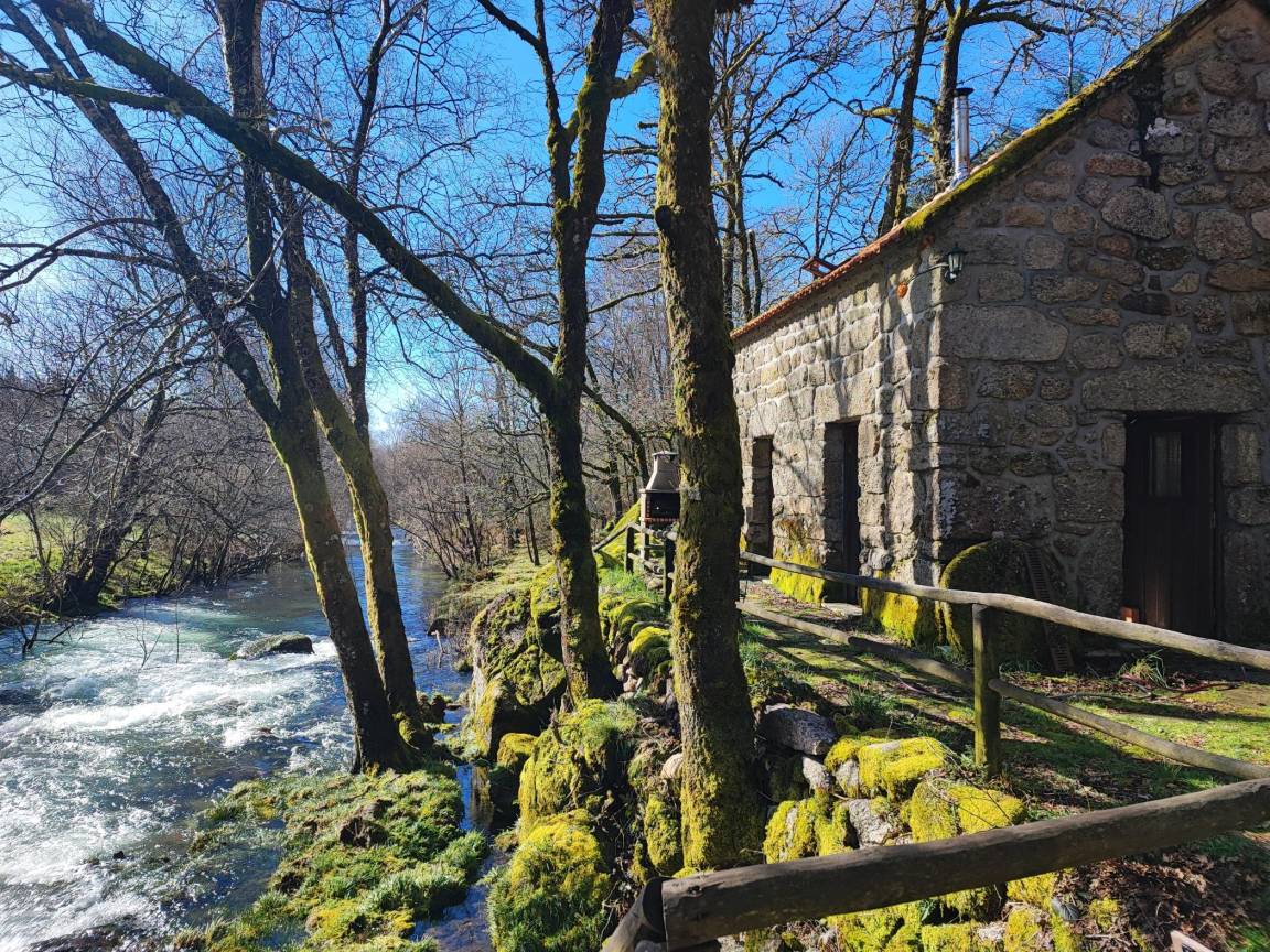 60 M² Cottage ∙ 1 Bedroom ∙ 4 Guests - Portugal
