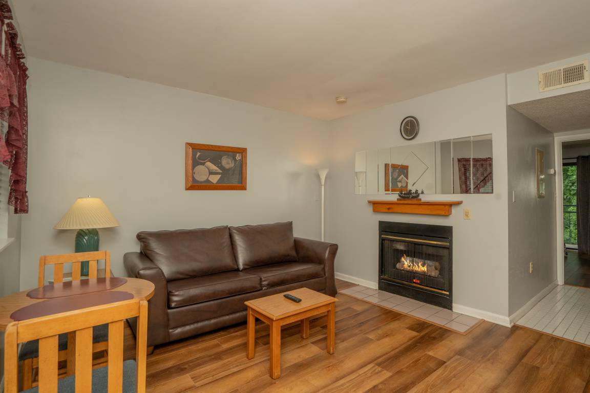 49 M² Apartamento ∙ 1 Habitación ∙ 4 Huéspedes - Gatlinburg, TN