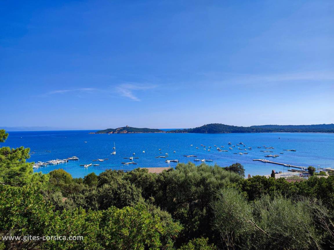 36 M² Gîte ∙ 1 Slaapkamer ∙ 2 Gasten - Porto-Vecchio