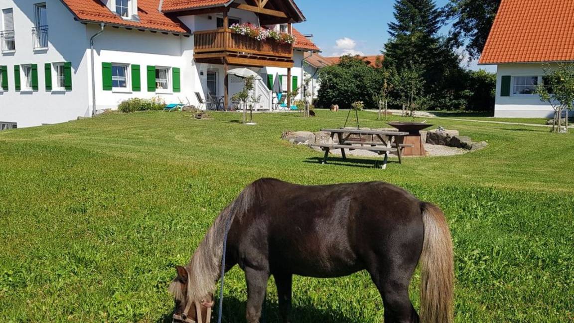 Hotel ∙ 1 Slaapkamer ∙ 1 Gast - Mindelheim