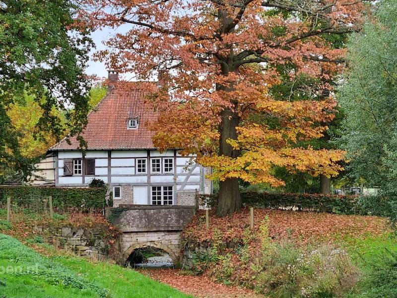 House ∙ 21 Bedrooms ∙ 52 Guests - Dilsen-Stokkem