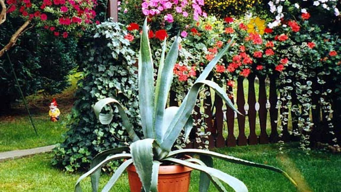 45 M² Ferienhaus ∙ 4 Gäste - Thüringen