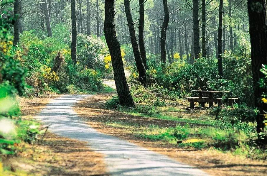 40 M² House ∙ 2 Bedrooms ∙ 4 Guests - Lacanau