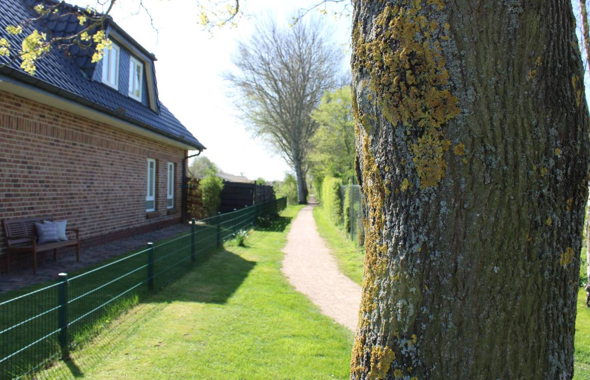 40 M² Apartment ∙ 1 Bedroom ∙ 3 Guests - Fehmarn