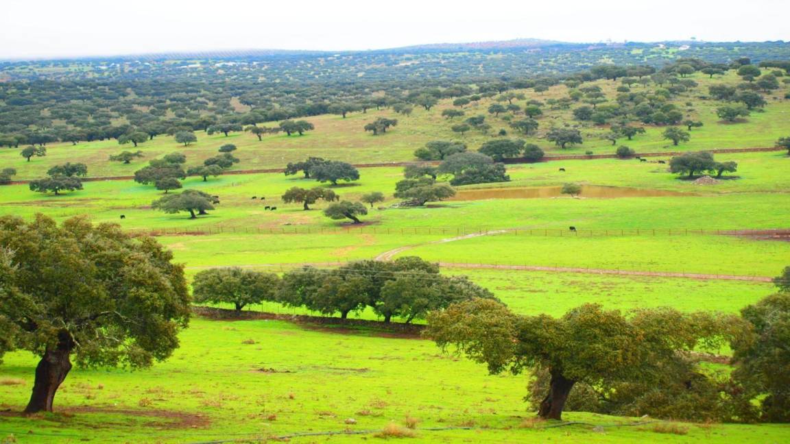 85 M² House ∙ 3 Bedrooms ∙ 6 Guests - Valle del Jerte