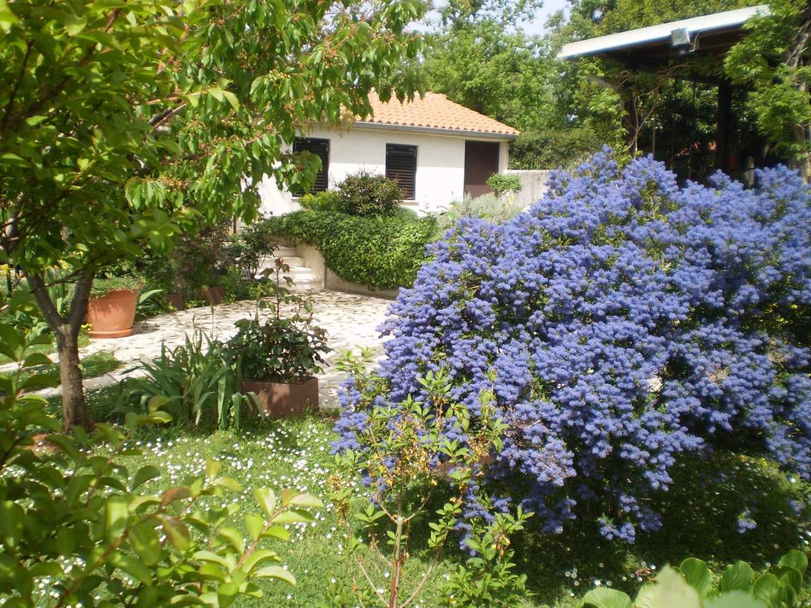 34 M² Ferienhaus ∙ 1 Schlafzimmer ∙ 3 Gäste - Medulin