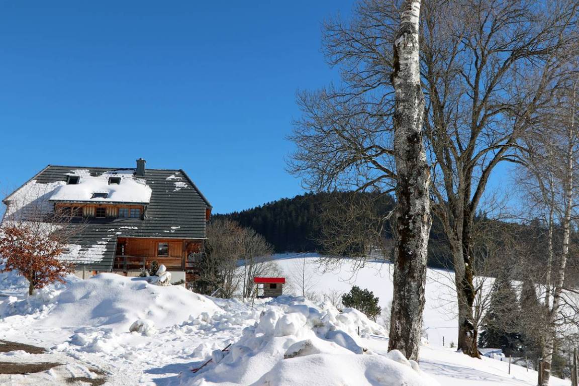 90 M² Apartment ∙ 2 Bedrooms ∙ 5 Guests - Titisee-Neustadt