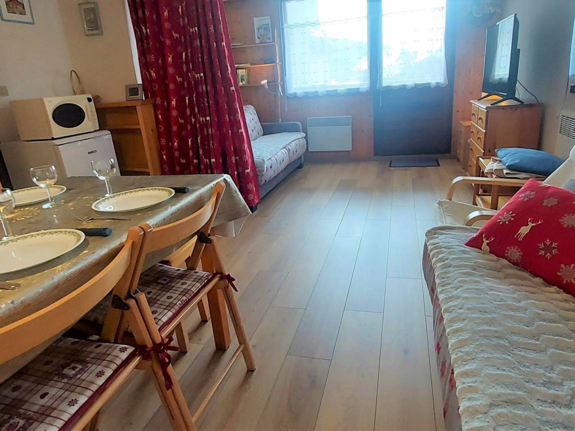30 M² Studio Flat ∙ 1 Bedroom ∙ 5 Guests - Samoëns