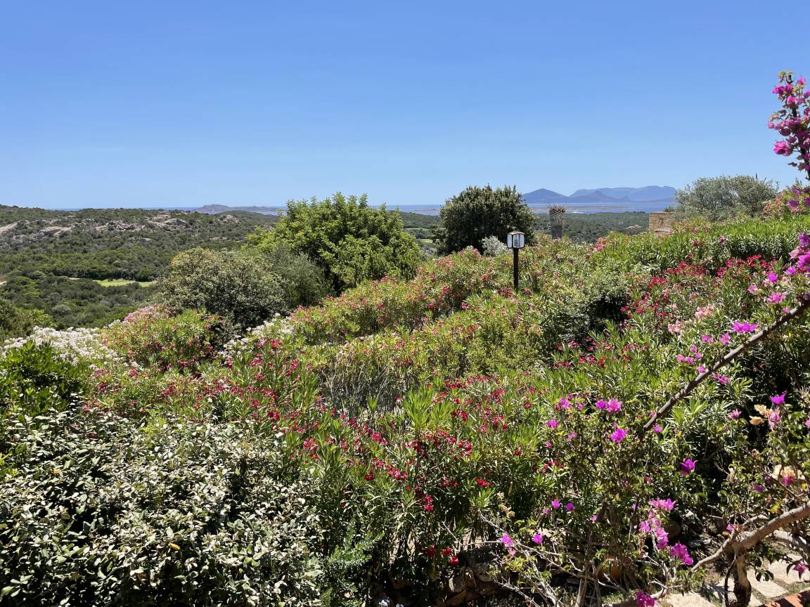 Apartment ∙ 2 Bedrooms ∙ 6 Guests - Golfo Aranci