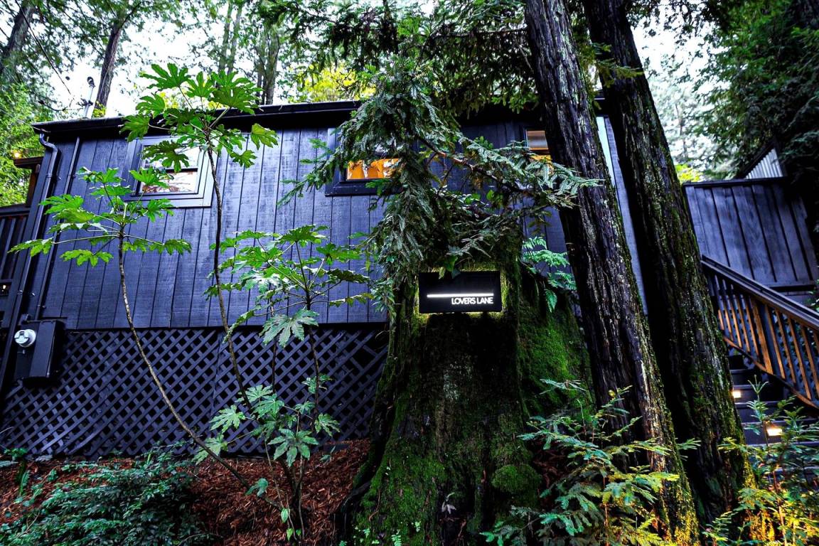 Accommodation ∙ 1 Bedroom ∙ 4 Guests - Jenner, CA