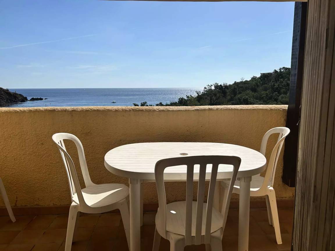 39 M² Appartement ∙ 1 Chambre ∙ 4 Personnes - Cerbère