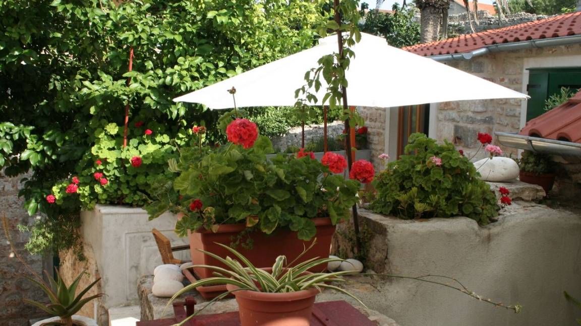 46 M² Hotel ∙ 1 Schlafzimmer ∙ 4 Gäste - Bol