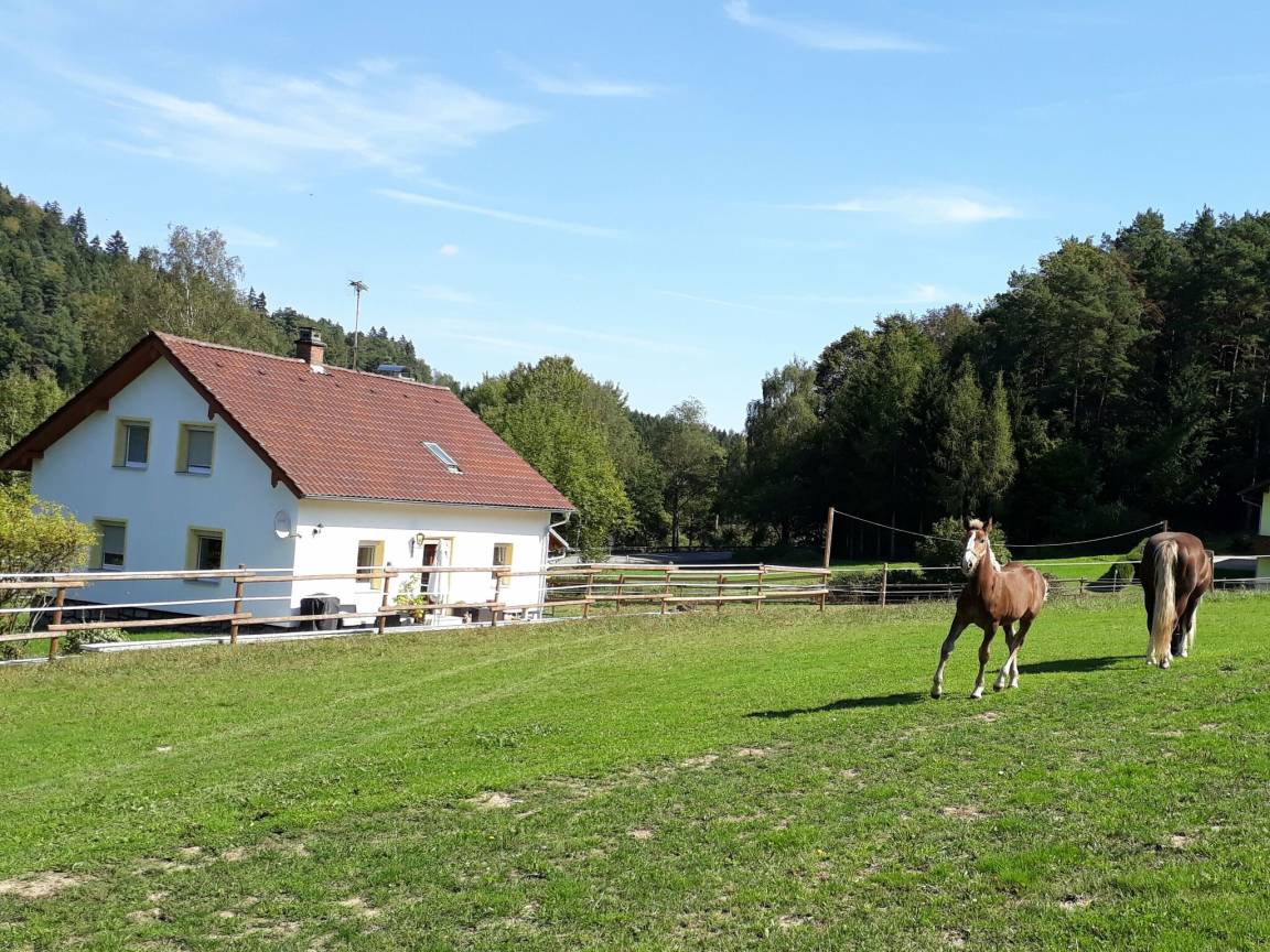 100 M² Ferienhaus ∙ 3 Schlafzimmer ∙ 6 Gäste - Furth im Wald