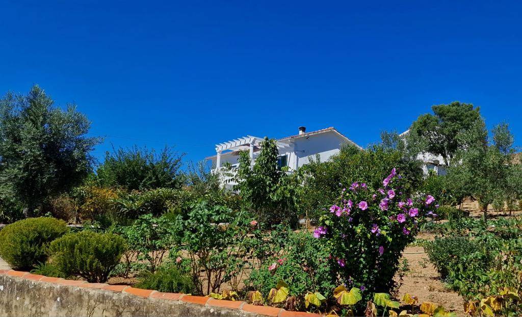 145 M² Casa ∙ 3 Quartos ∙ 8 Hóspedes - Vila de Rei