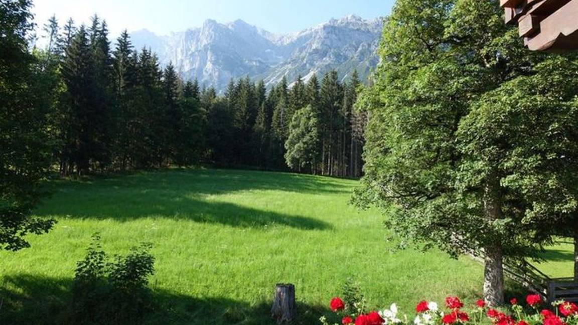 17 M² Apartment ∙ 1 Bedroom ∙ 2 Guests - Ramsau am Dachstein