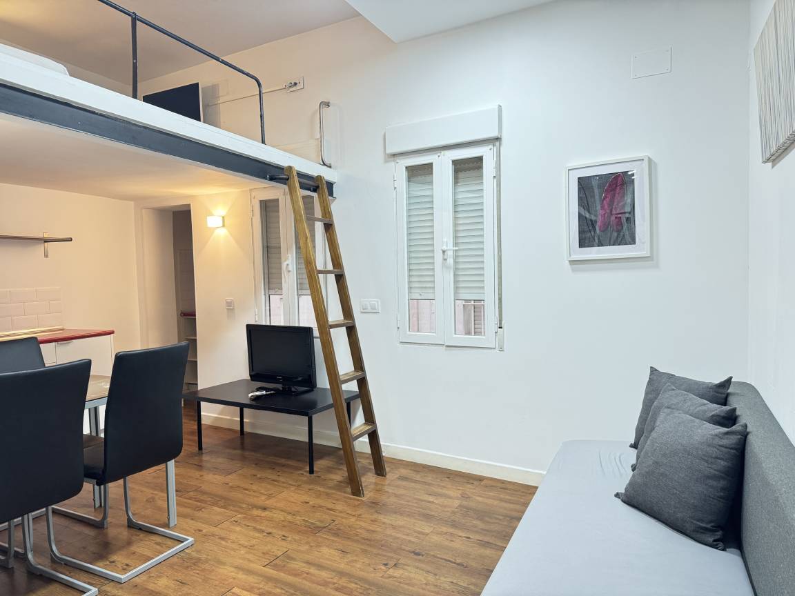 25 M² Apartamento ∙ 1 Habitación ∙ 3 Huéspedes - Deusto Business School