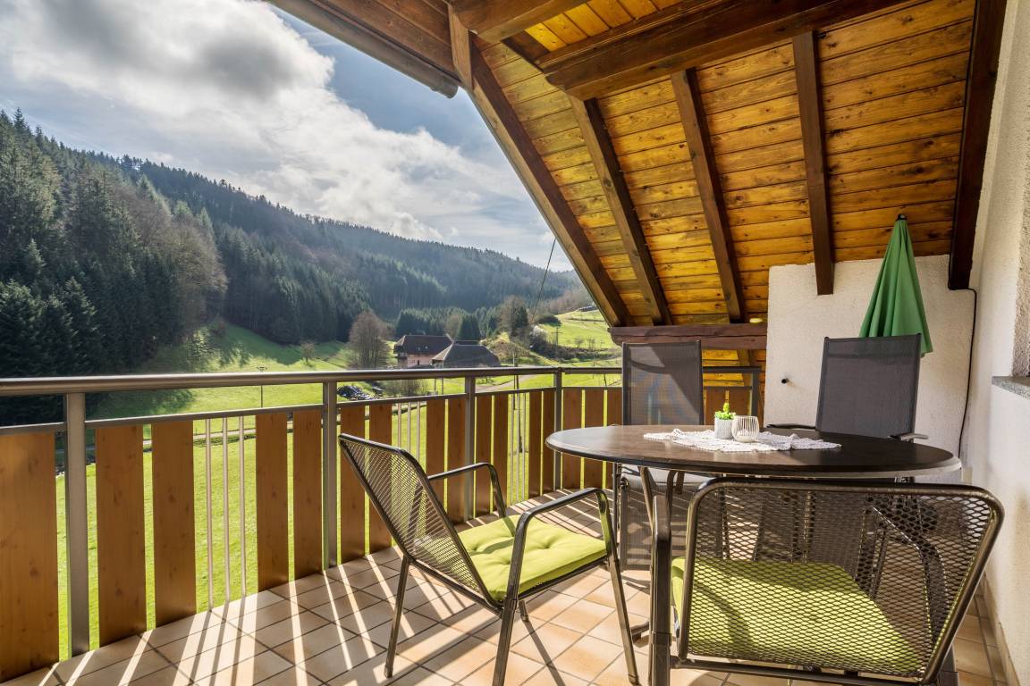 55 M² Ferienwohnung ∙ 2 Schlafzimmer ∙ 4 Gäste - Steinach
