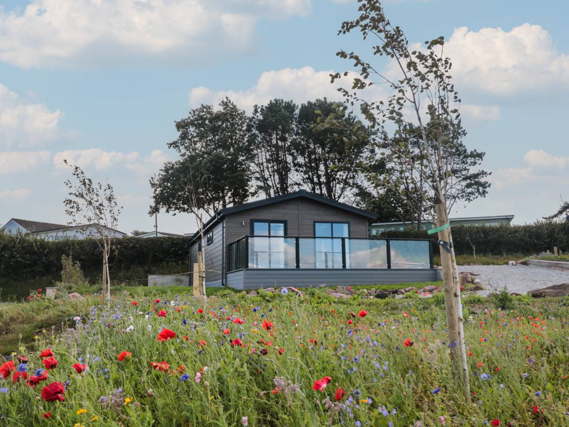 코티지 (자연 속의 작은 별장) ∙ 침실 2개 ∙ 게스트 4명 - 다트머스