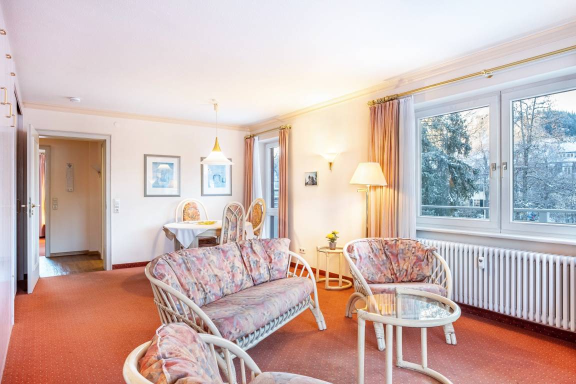 85 M² Apartment ∙ 1 Bedroom ∙ 4 Guests - Hinterzarten