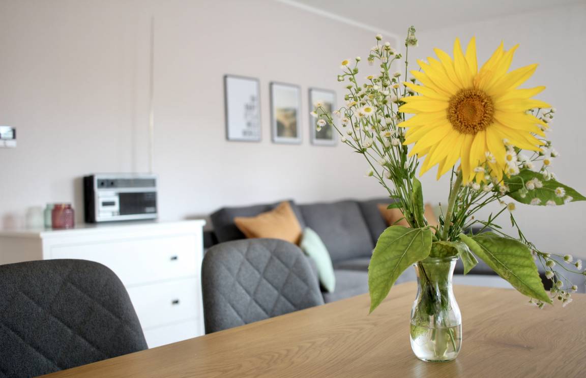 62 M² Ferienwohnung ∙ 1 Schlafzimmer ∙ 4 Gäste - Emmendingen
