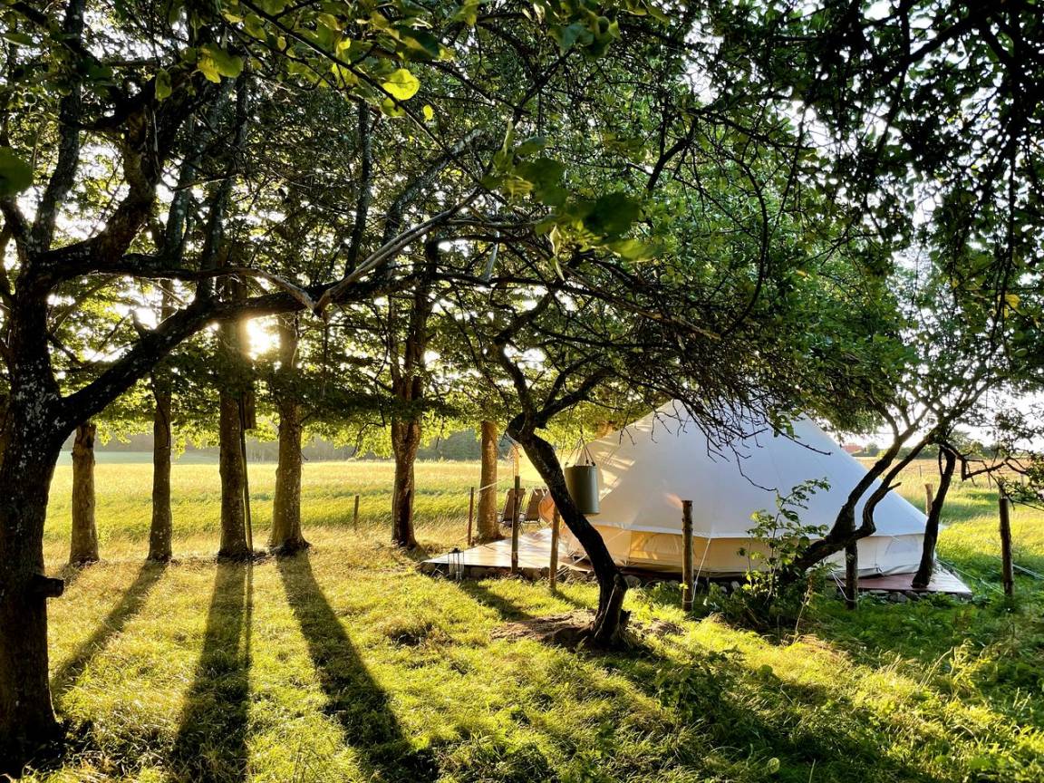 Camping ∙ 1 Bedroom ∙ 4 Guests - Bornholm