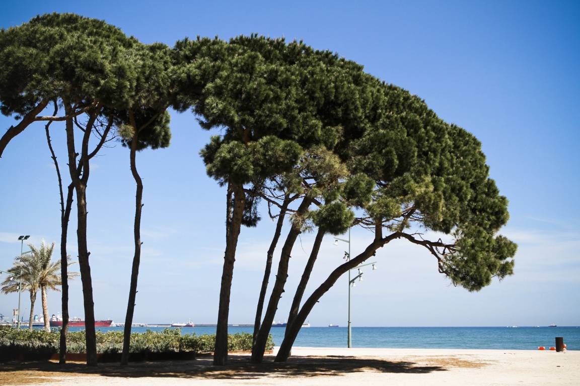 65 M² Apartment ∙ 2 Bedrooms ∙ 6 Guests - Tarragona