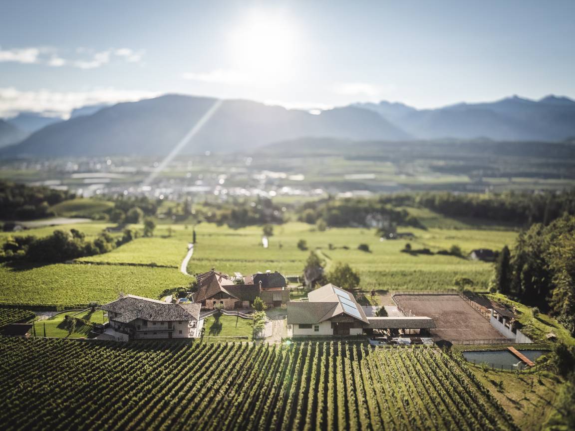 45 M² Agriturismo ∙ 1 Camera Da Letto ∙ 3 Ospiti - Bolzano