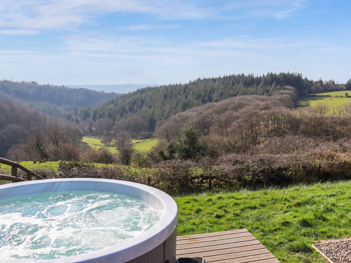 Cottage ∙ 1 Bedroom ∙ 4 Guests - Carmarthen