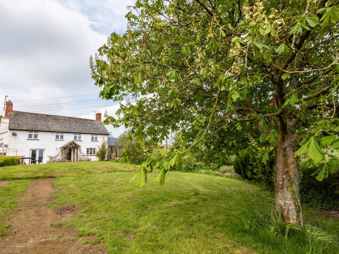 Cottage ∙ 6 Bedrooms ∙ 12 Guests - Devon